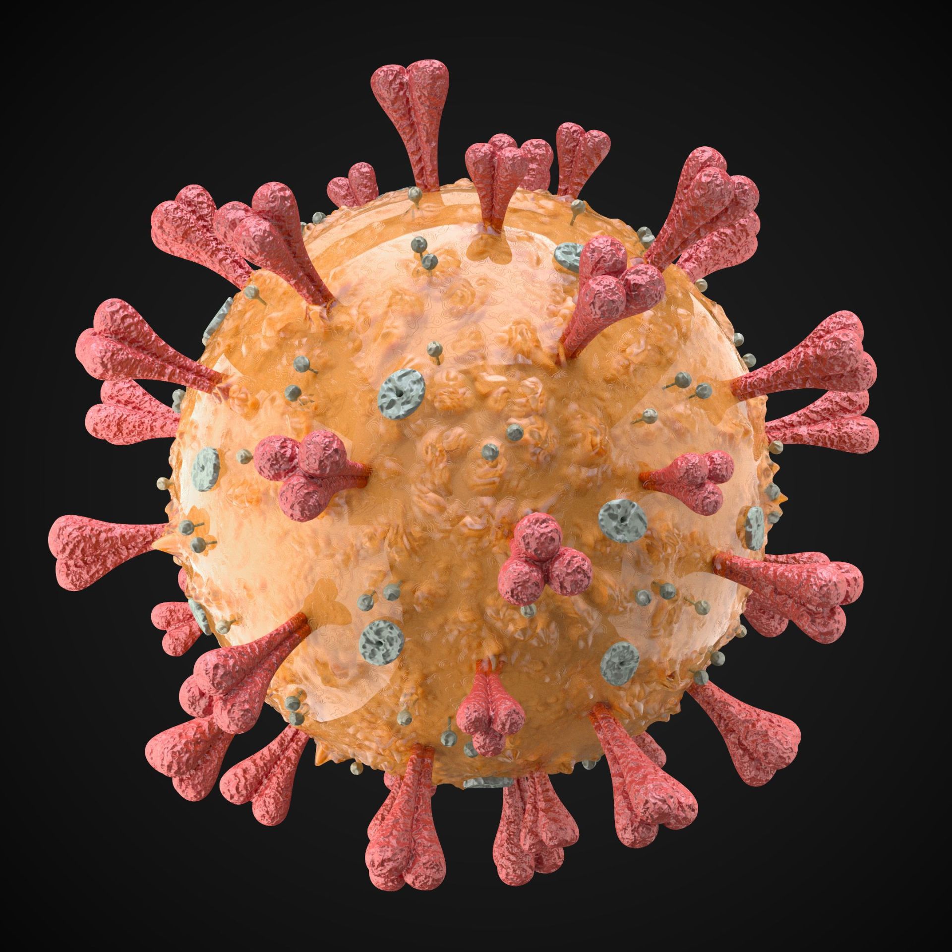 Virus Hendra | frequenz-therapie.com