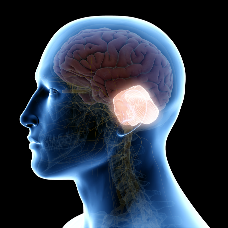 Arachnoidales Sarkom | frequenz-therapie.com