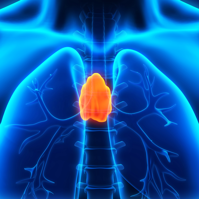 Carcinoma tímico | frequenz-therapie.com