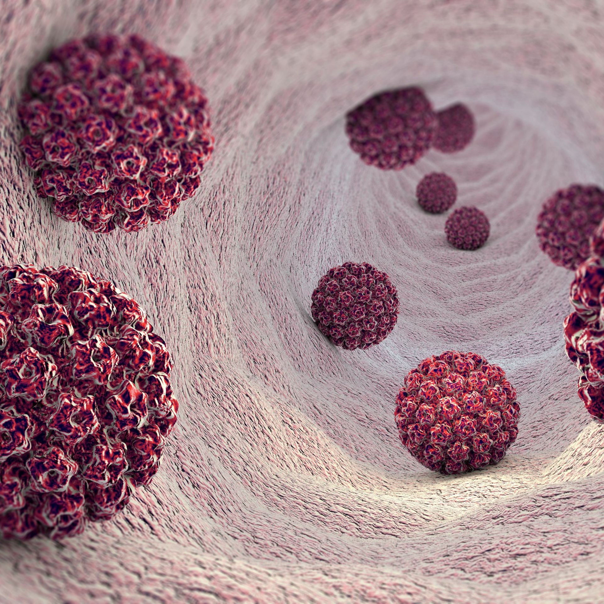Human papilloma virus (HPV) | frequenz-therapie.com
