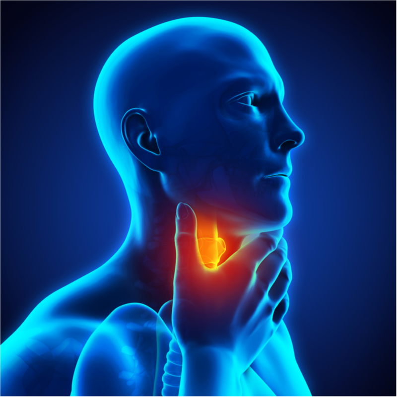 Hypopharyngeal carcinoma | frequenz-therapie.com
